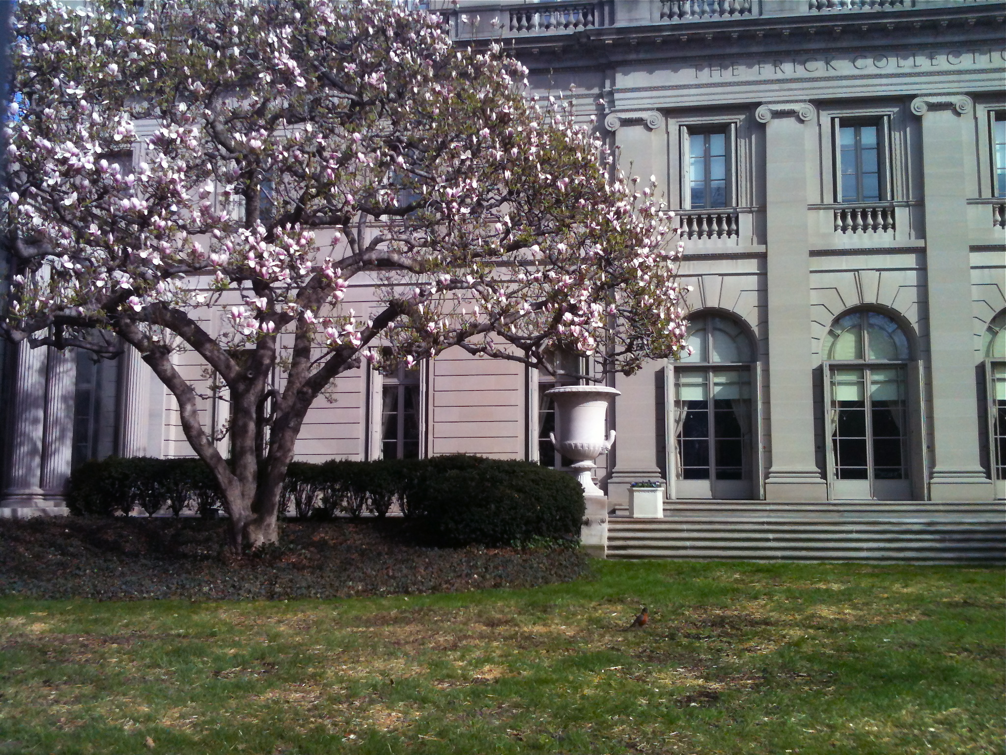 Support for Landmarks in New York Prevails: Frick Decides Against ...